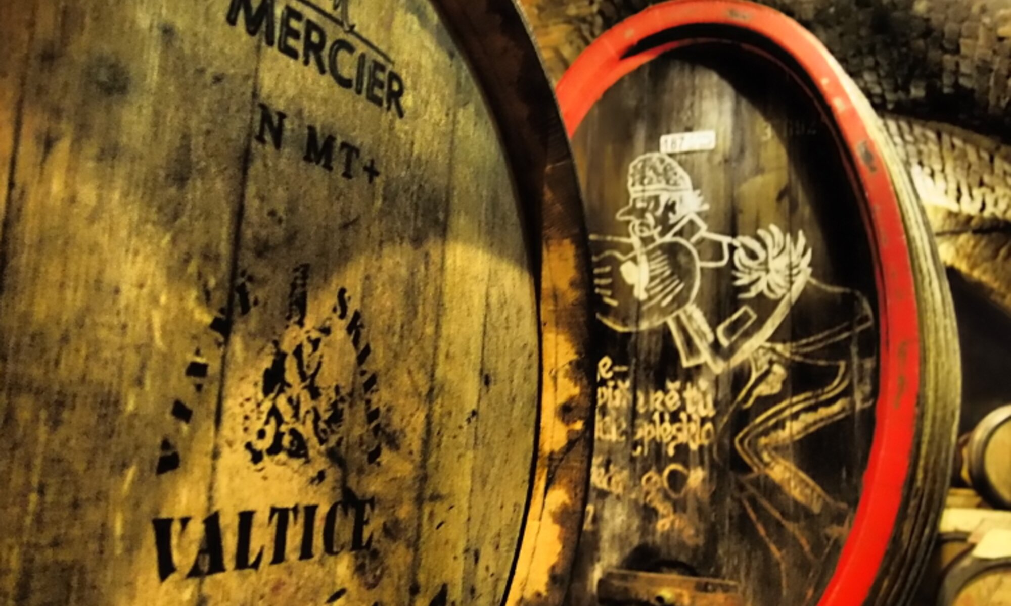 Castle cellar - Wine Cellars of Valtice, a. s.