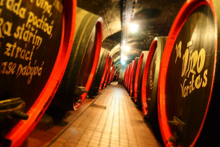 Castle cellar - Wine Cellars of Valtice, a. s.